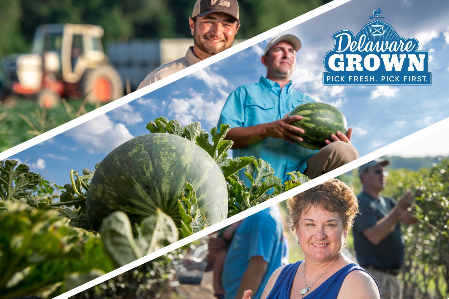 Support Local Farmers and Agribusinesses - Delaware Grown